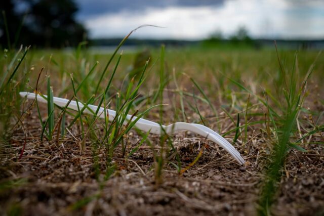 Can You Eat Grass to Survive? (And What It Tastes Like) - Survival Freedom