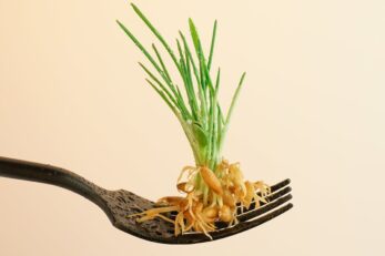 Can You Eat Grass to Survive? (And What It Tastes Like) - Survival Freedom