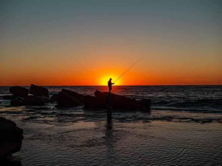 Florida Fishing License Costs (Resident and Non-Resident) - Survival ...