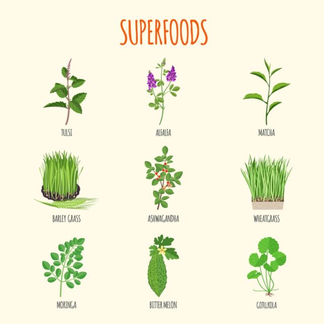 Can You Eat Grass to Survive? (And What It Tastes Like) - Survival Freedom