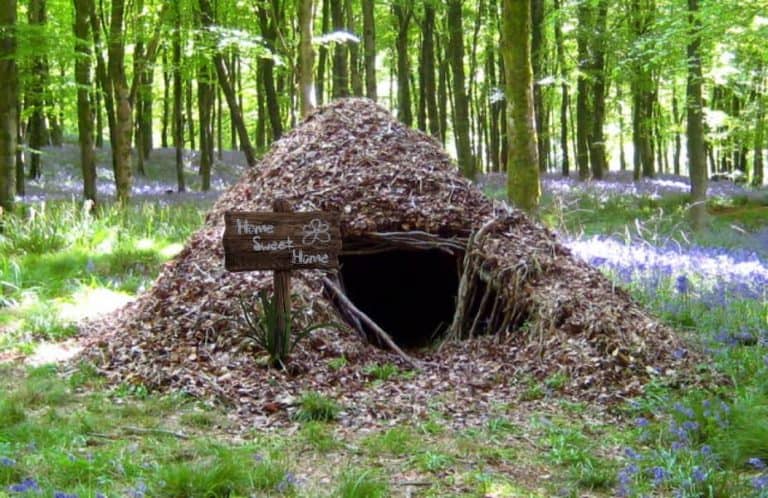10 Ways to Build a Shelter in the Wild (In Any Environment) - Survival ...