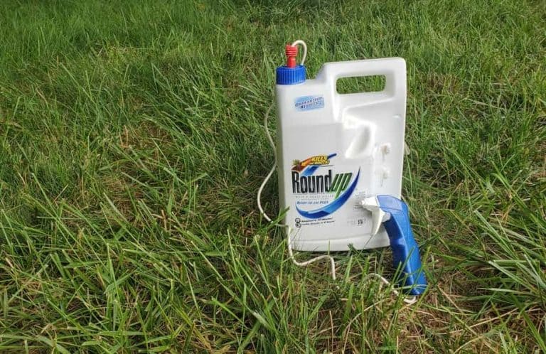 How Long Does Roundup Weed Killer Last In The Soil? - Survival Freedom
