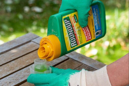 How Long Does Roundup Weed Killer Last In The Soil? - Survival Freedom