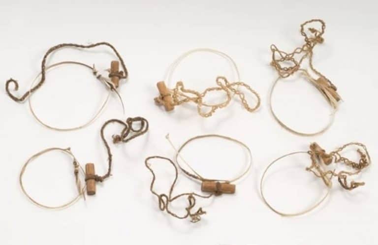 Best Snare Wire for Making Traps | Choosing the Correct Gauge ...