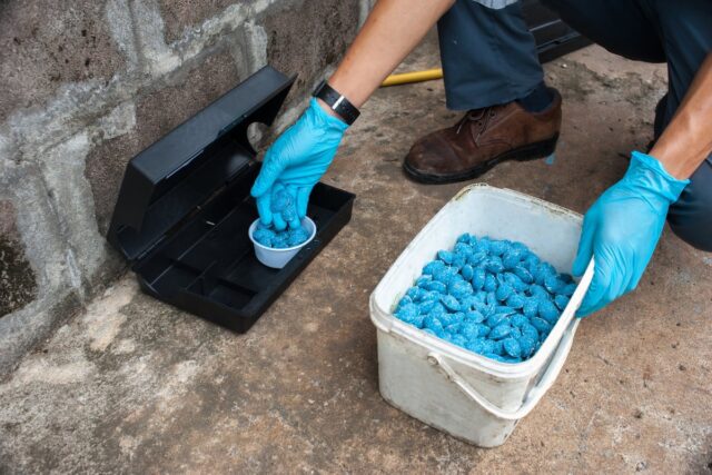 Does Rat Poison Expire? | Shelf Life and Storage Guidelines - Survival ...