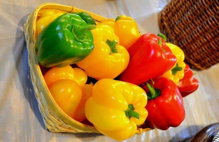 21 Vegetables With the Highest Fat Content - Survival Freedom