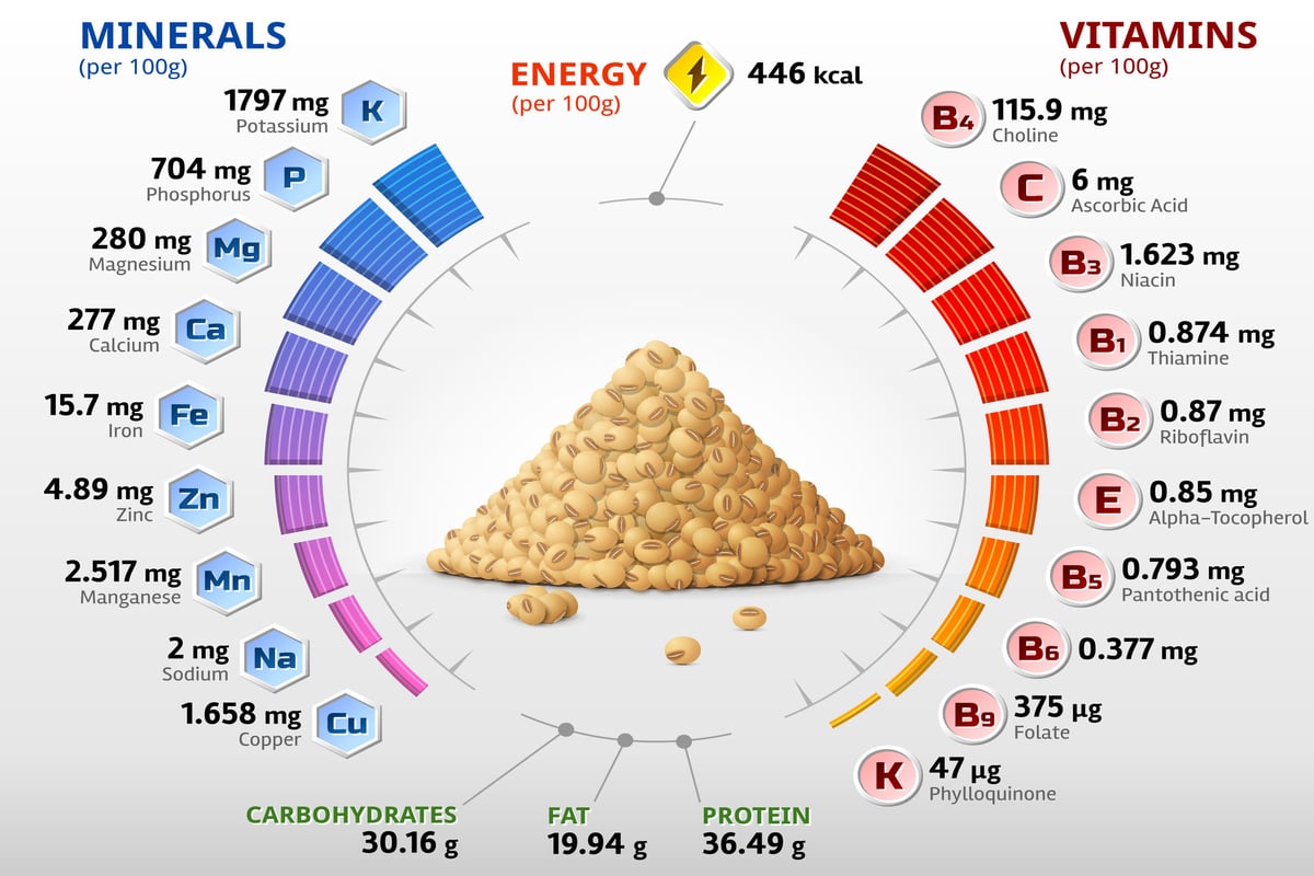 21 Vegetables With the Highest Fat Content - Survival Freedom