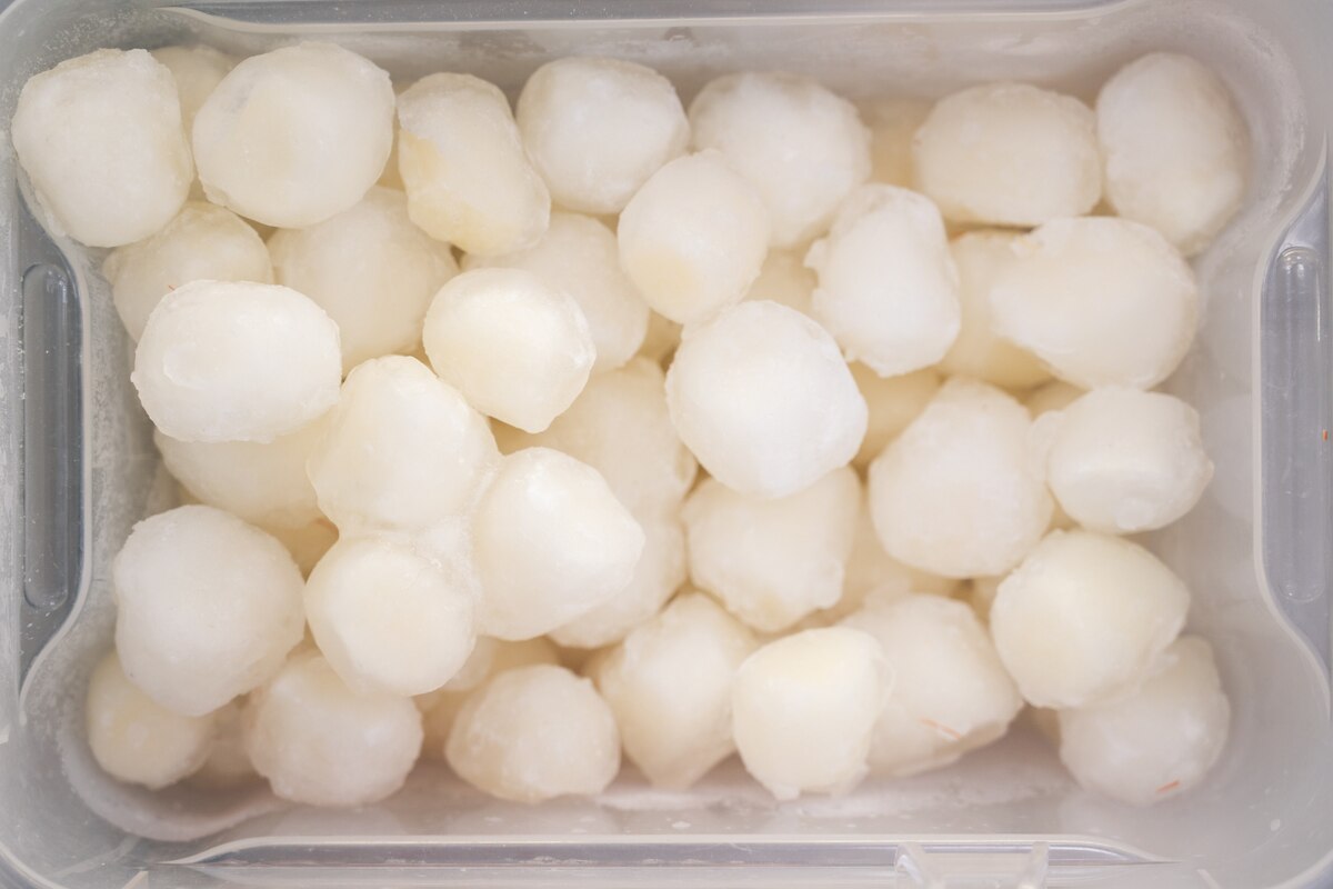 Can You Freeze Fresh Scallops? | What You Need To Know - Survival Freedom