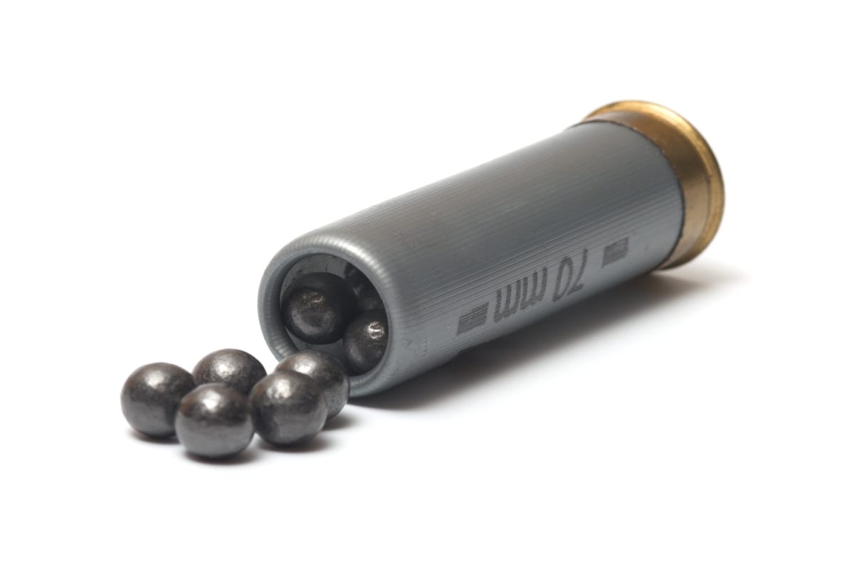 Buckshot vs. Slug for Home Defense | Which Is Best? - Survival Freedom