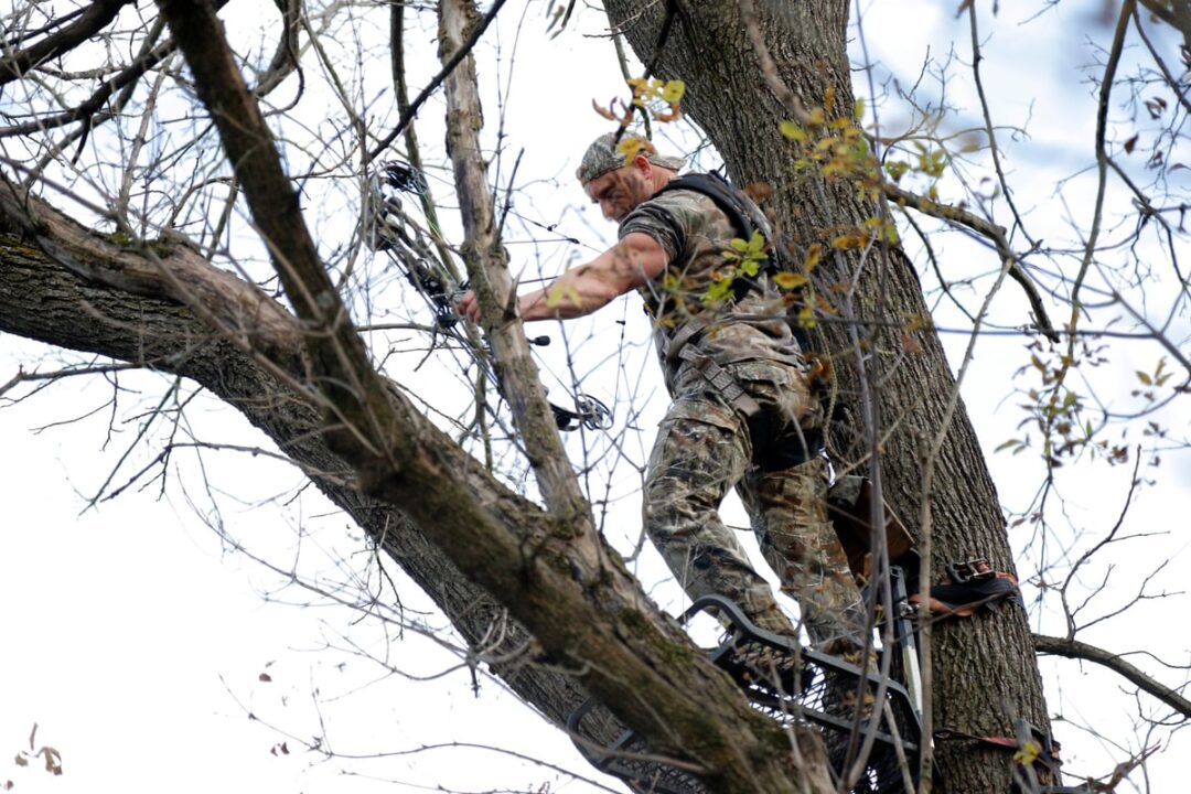 5 Best Bow Holders for Tree Stands - Survival Freedom