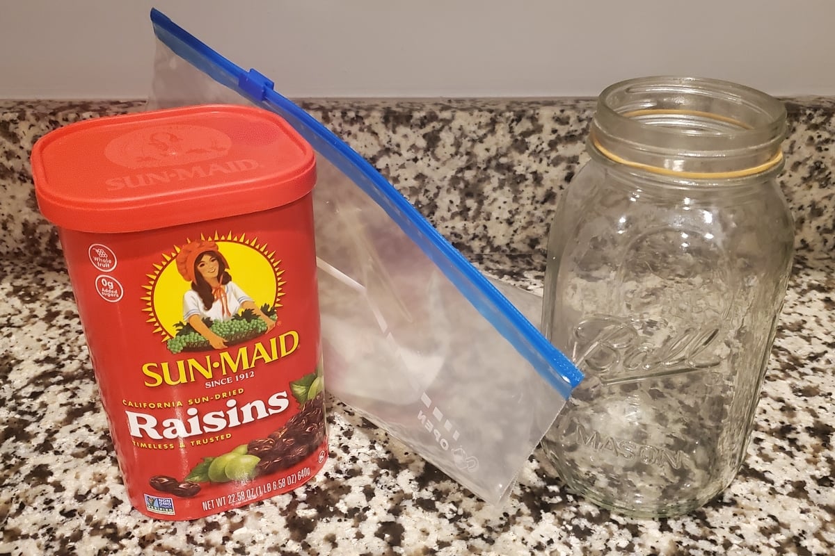 How To Store Raisins Long Term | The Best Way - Survival Freedom