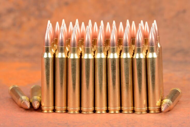 The 4 Best .300 Win Mag Rifles (For Any Budget) - Survival Freedom