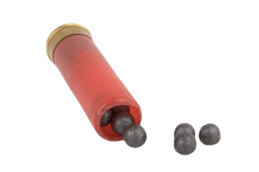 Birdshot vs. Buckshot | What’s the Difference? - Survival Freedom