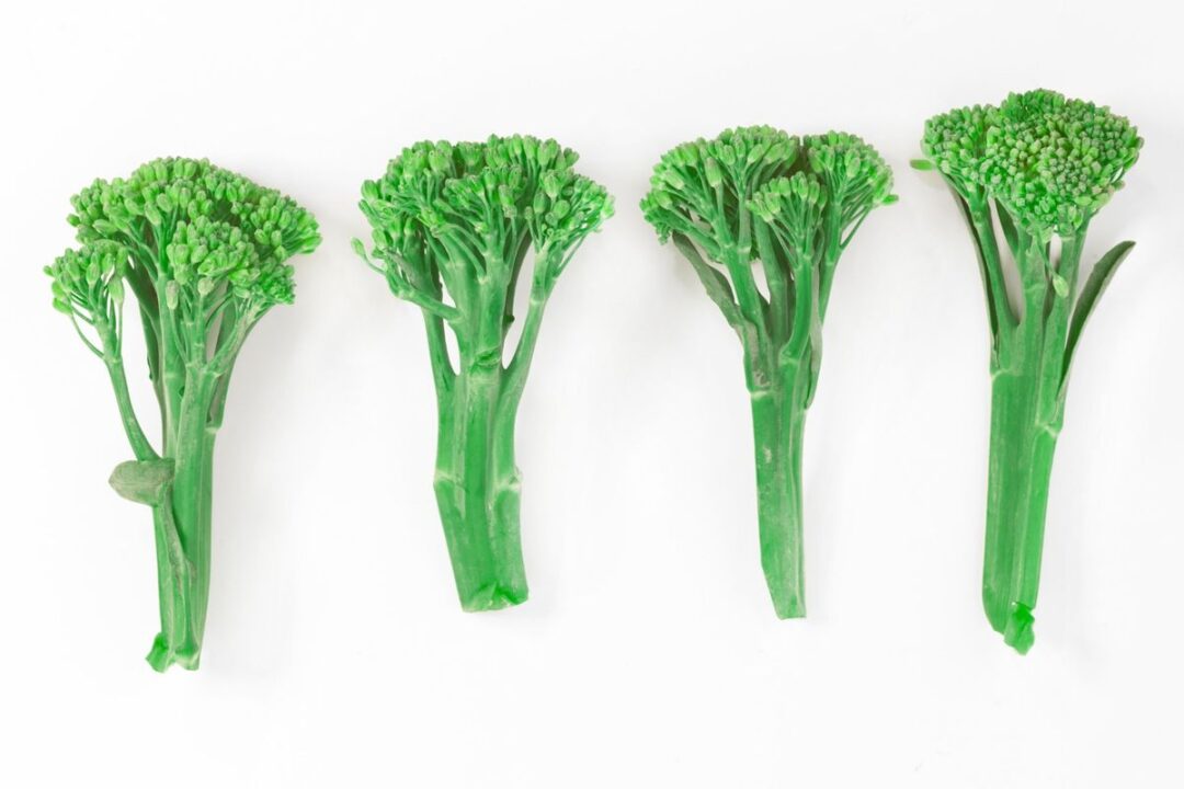 15 Best Similar Substitutes for Kale - Survival Freedom