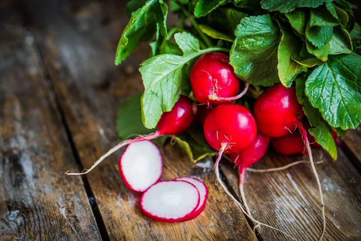 The 7 Best Substitutes for Cornichons (And How To Use Them) - Survival ...