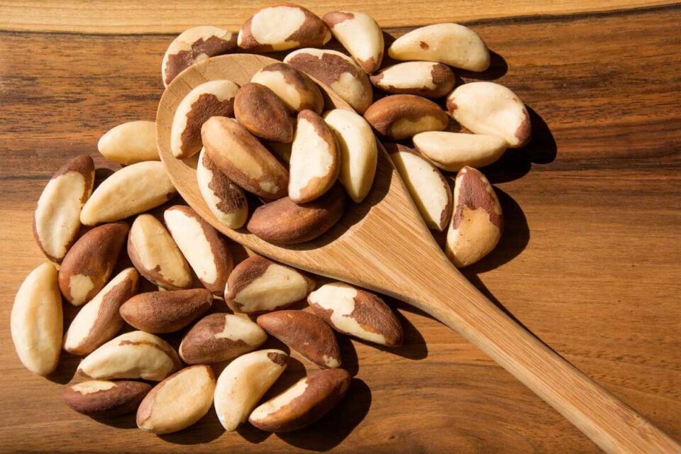The 11 Best Similar Substitutes for Pecans - Survival Freedom