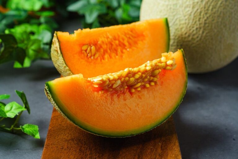 The 4 Best Most Similar Cantaloupe Substitutes - Survival Freedom