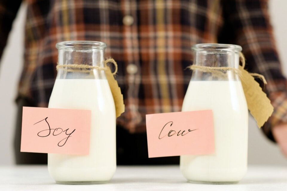 The 12 Best Substitutes For Milk In Cereal - Survival Freedom