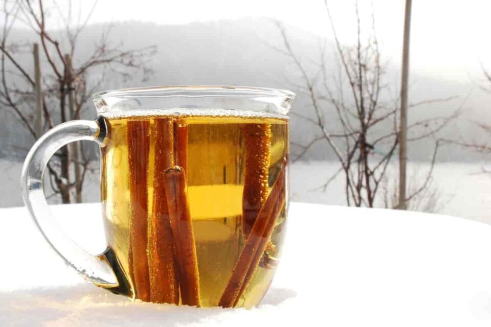 12 Best Alcoholic Drinks for Cold Weather - Survival Freedom