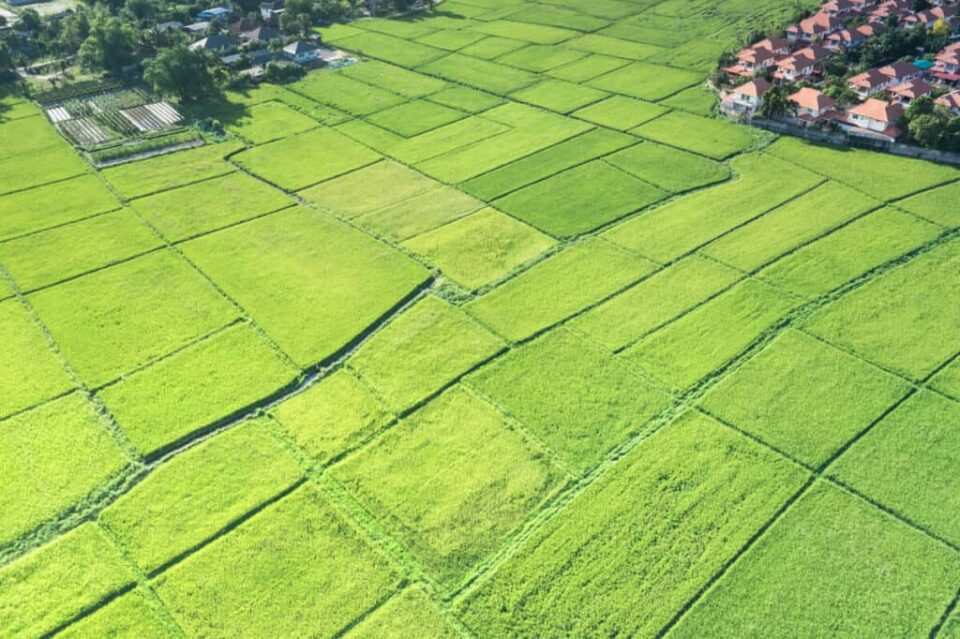 How Big of a House Can Be Built on .25 Acres - Survival Freedom