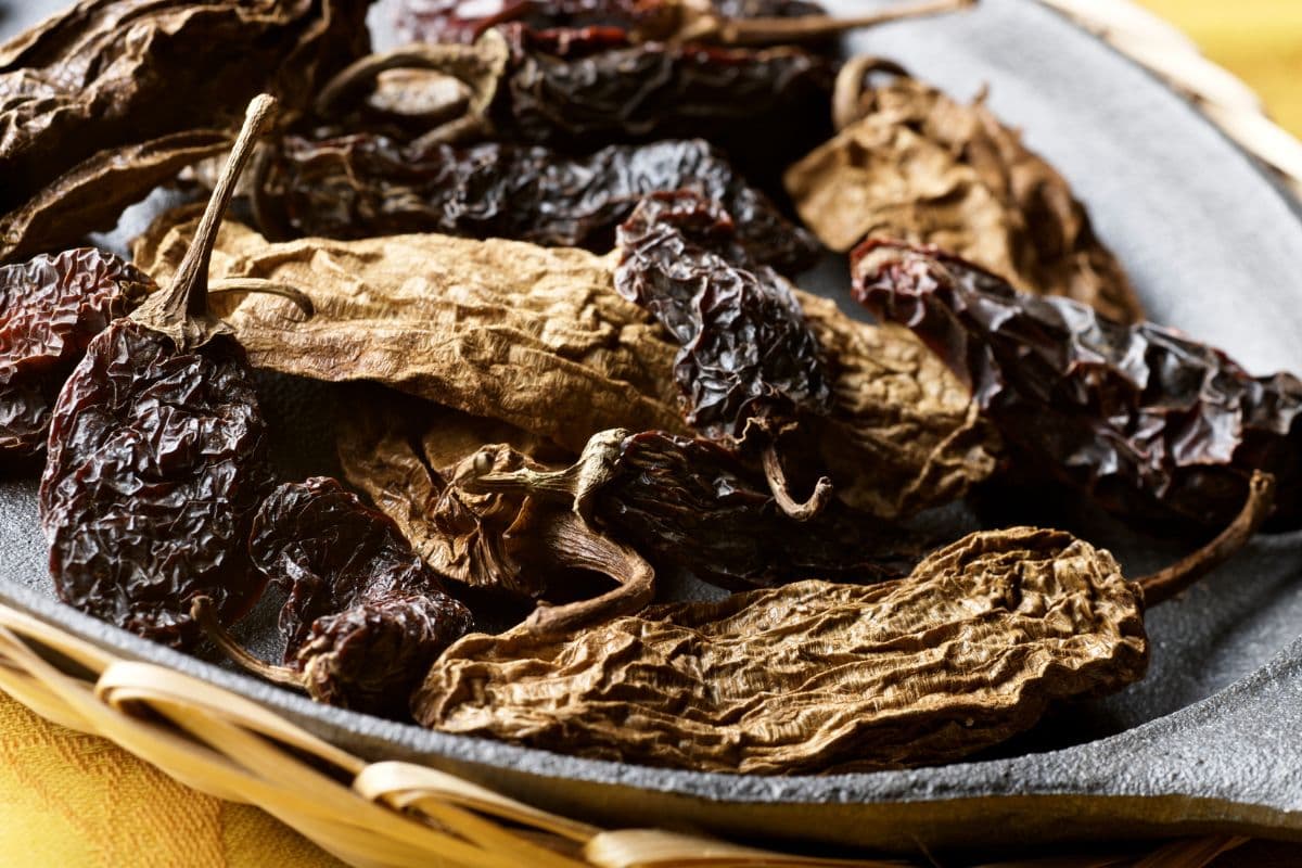 12 Most Similar Substitutes for Poblano Peppers - Survival Freedom