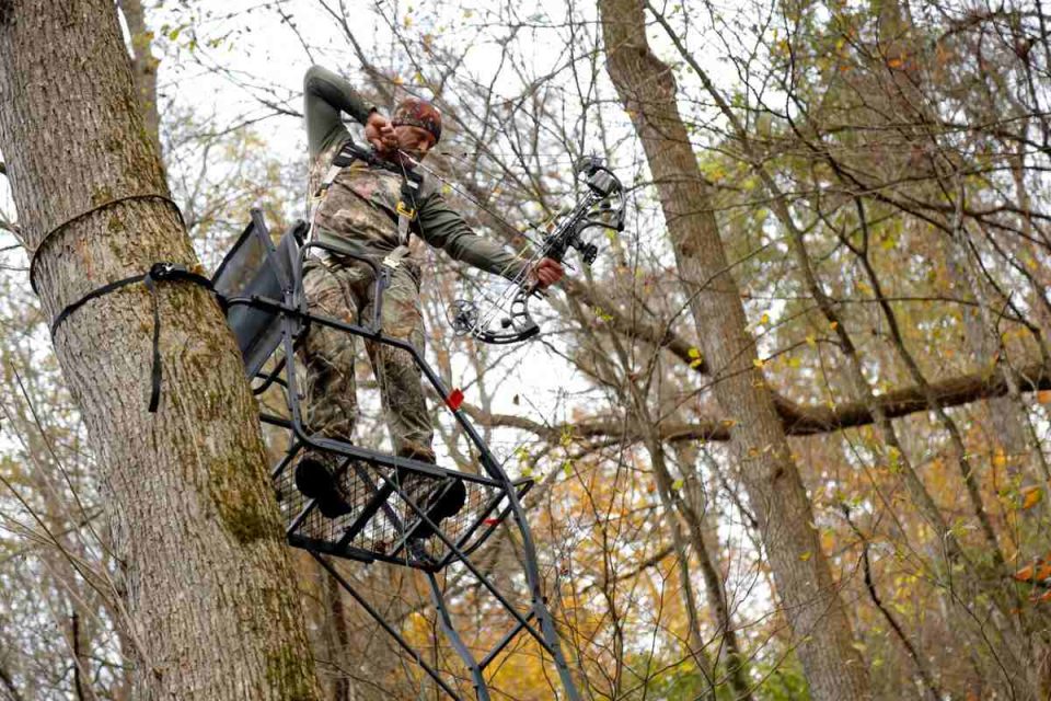 Treestand Hunting | Where to Aim for Precise Shots - Survival Freedom