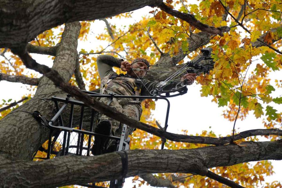 How Far You Should Shoot a Bow From a Tree Stand | 5 Factors - Survival ...