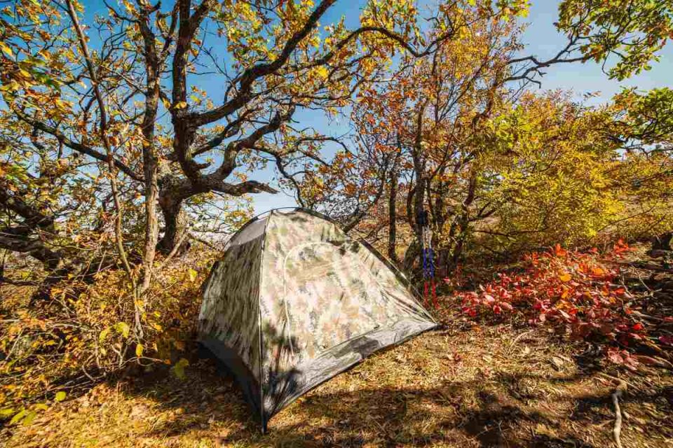 How to Hide a Ground Blind in the Woods | 3 Simple Steps - Survival Freedom