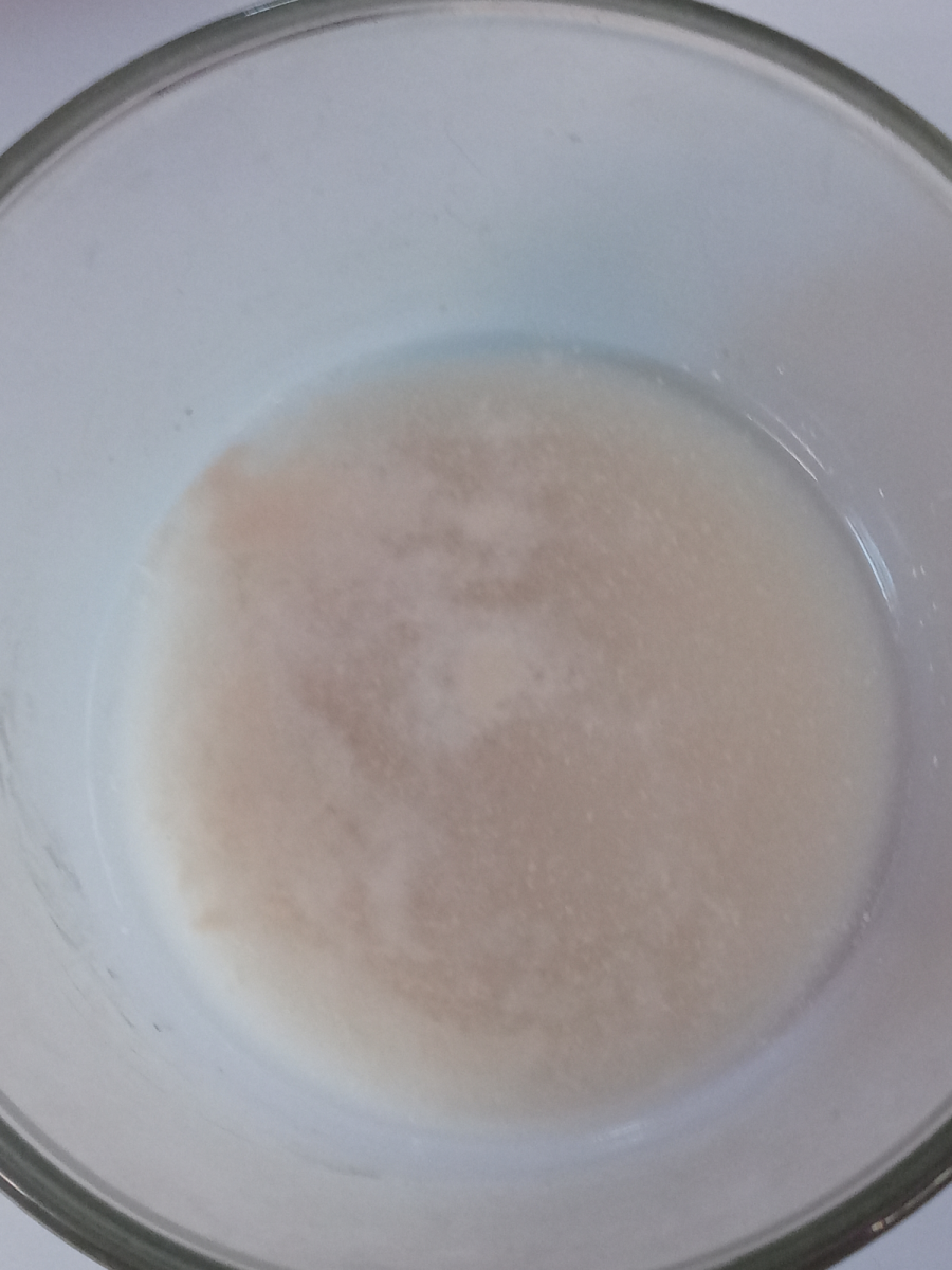 What Yeast Looks Like When it Foams (With Pictures) - Survival Freedom